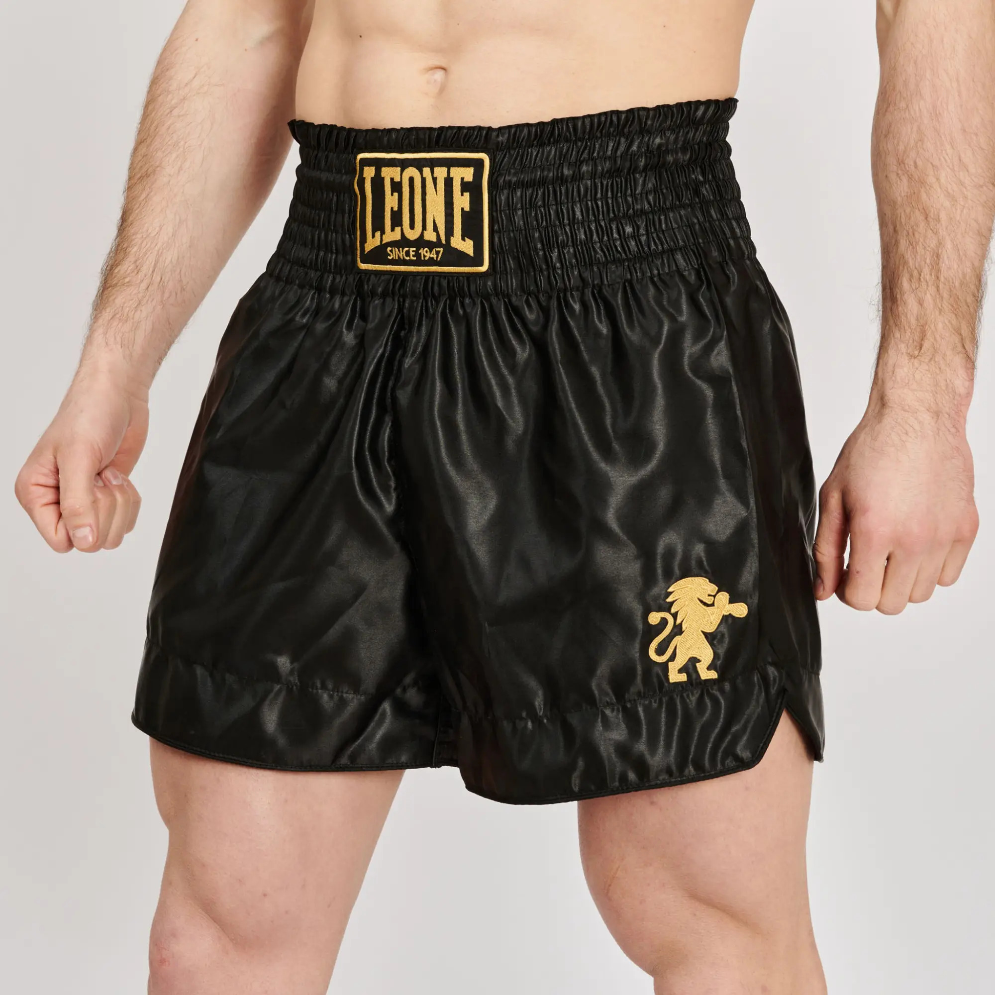 Leone 1947 Leone 2019 Panta Mma Legionarius II, - 17426566329